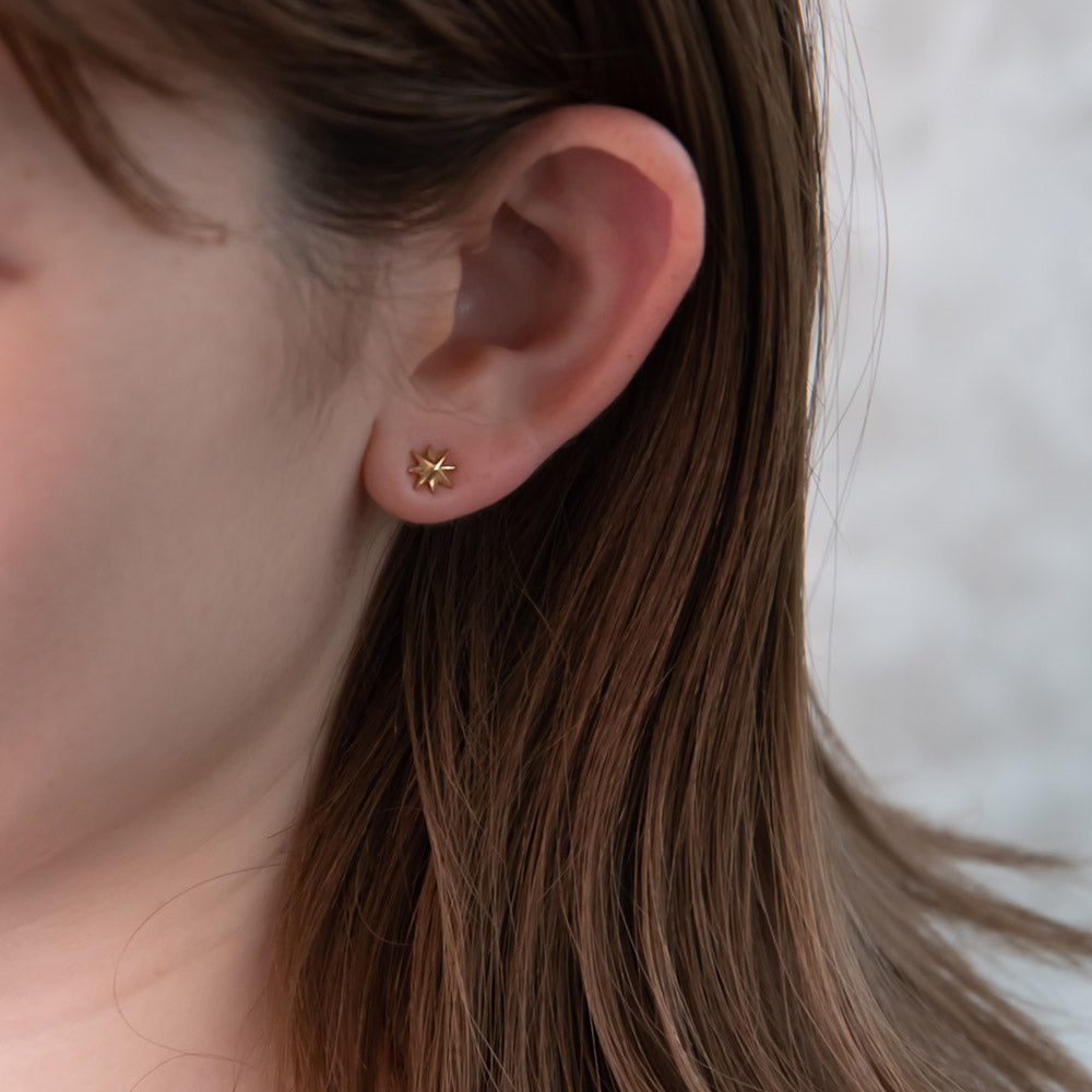Stainless Steel Bright Star Studs